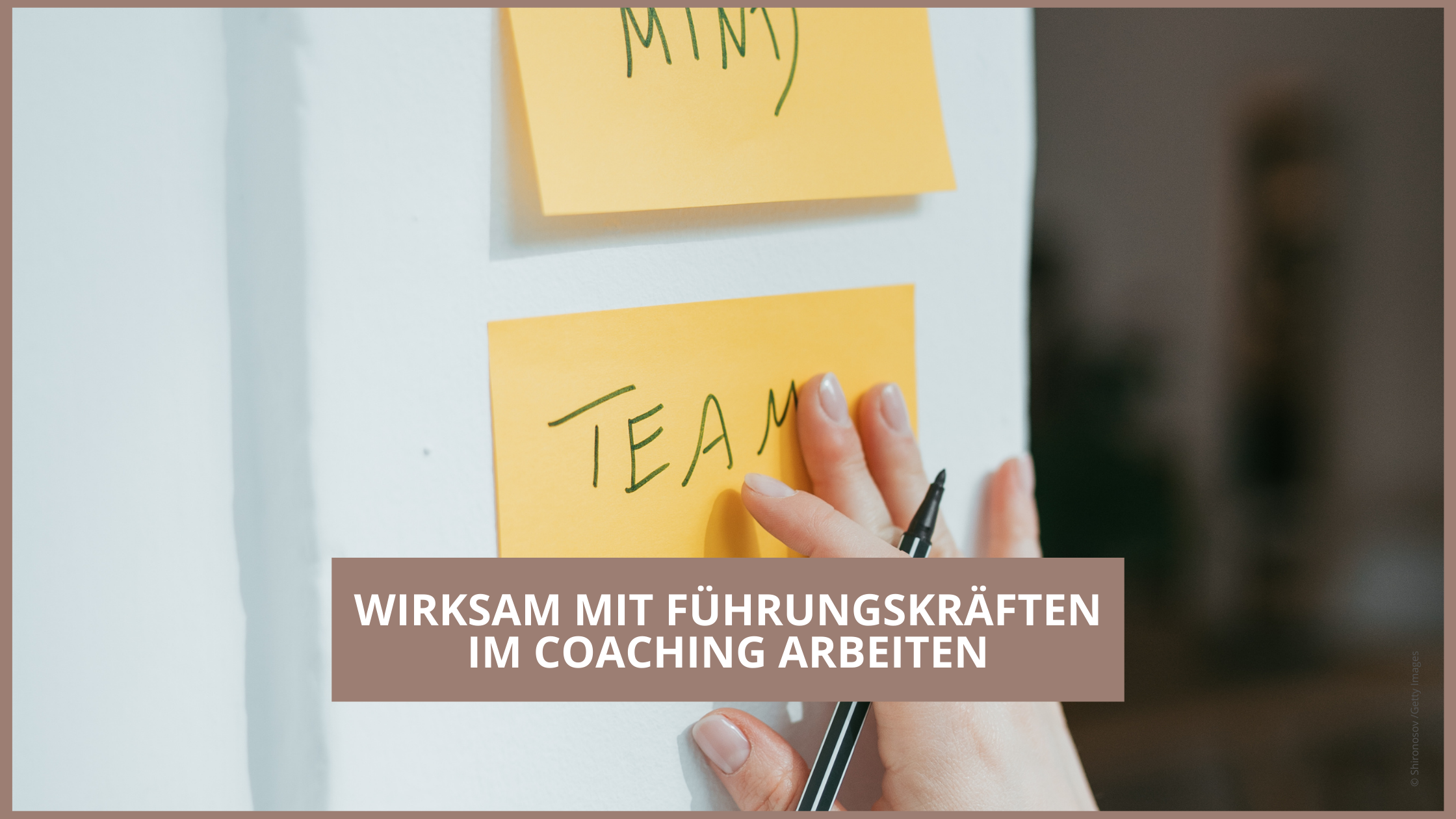 Wirksam mit Führungskräften im Coaching arbeiten - Jasmin Schweiger
